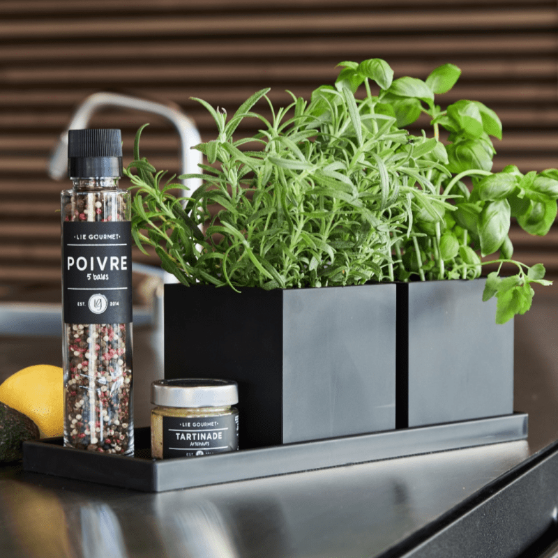 Multi Kvadrat Medium (Sej Design) Alsidig Opbevaring